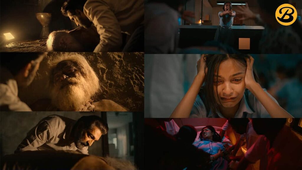 Vash Level 2 Day Wise Box Office Collection Report (2025): Worldwide ...